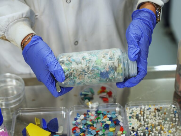 Research on the impact of microplastics in oceans awarded the Volvo ...