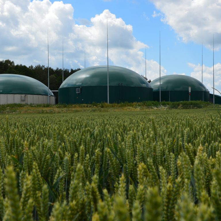 Poland: TotalEnergies invests in biogas and solar projects