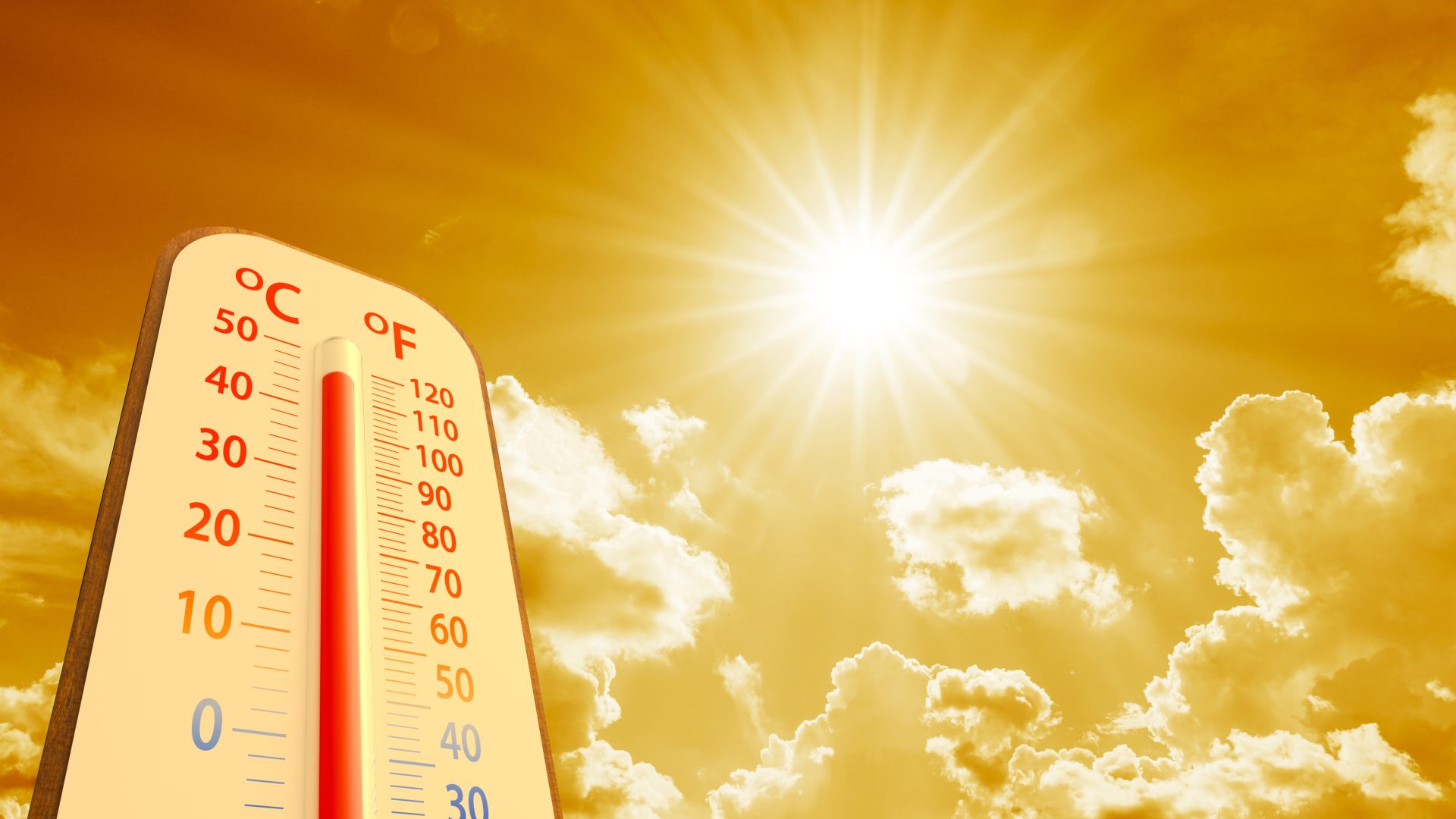 Yanmar Green Challenge 2050 - Powertrain International