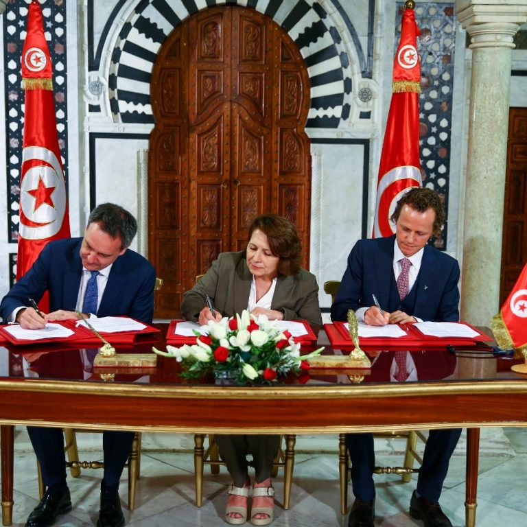 TE H2 partners with Verbund on a green hydrogen project in Tunisia ...