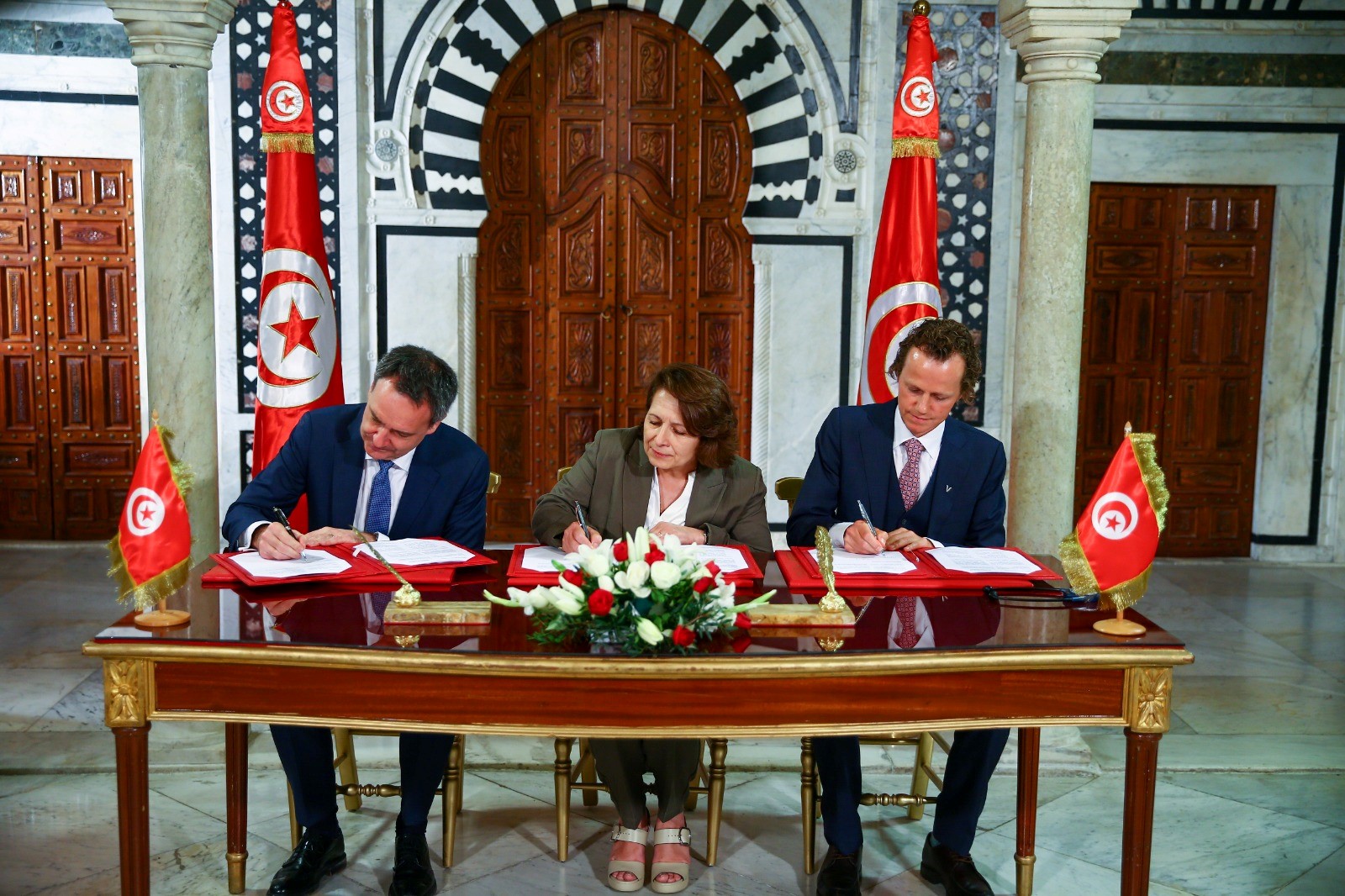 TE H2 partners with Verbund on a green hydrogen project in Tunisia ...